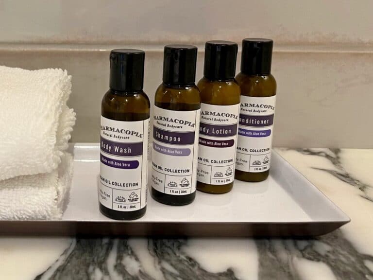 My Review: Hyatt Centric Downtown Nashville - We Get To Travel!